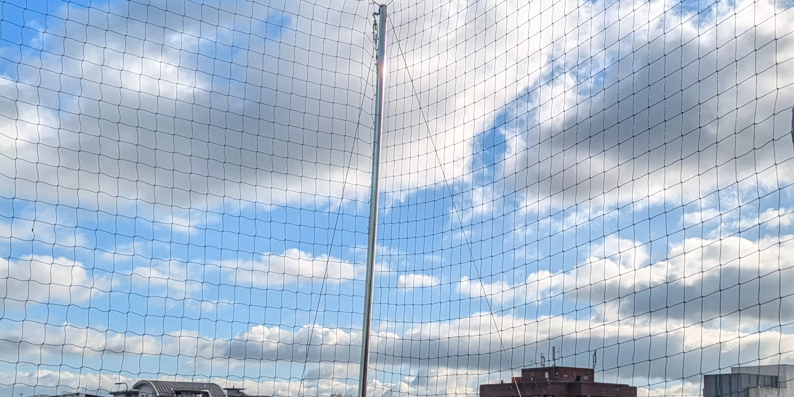 Pigeon Netting | Commercial Bird Netting Installation