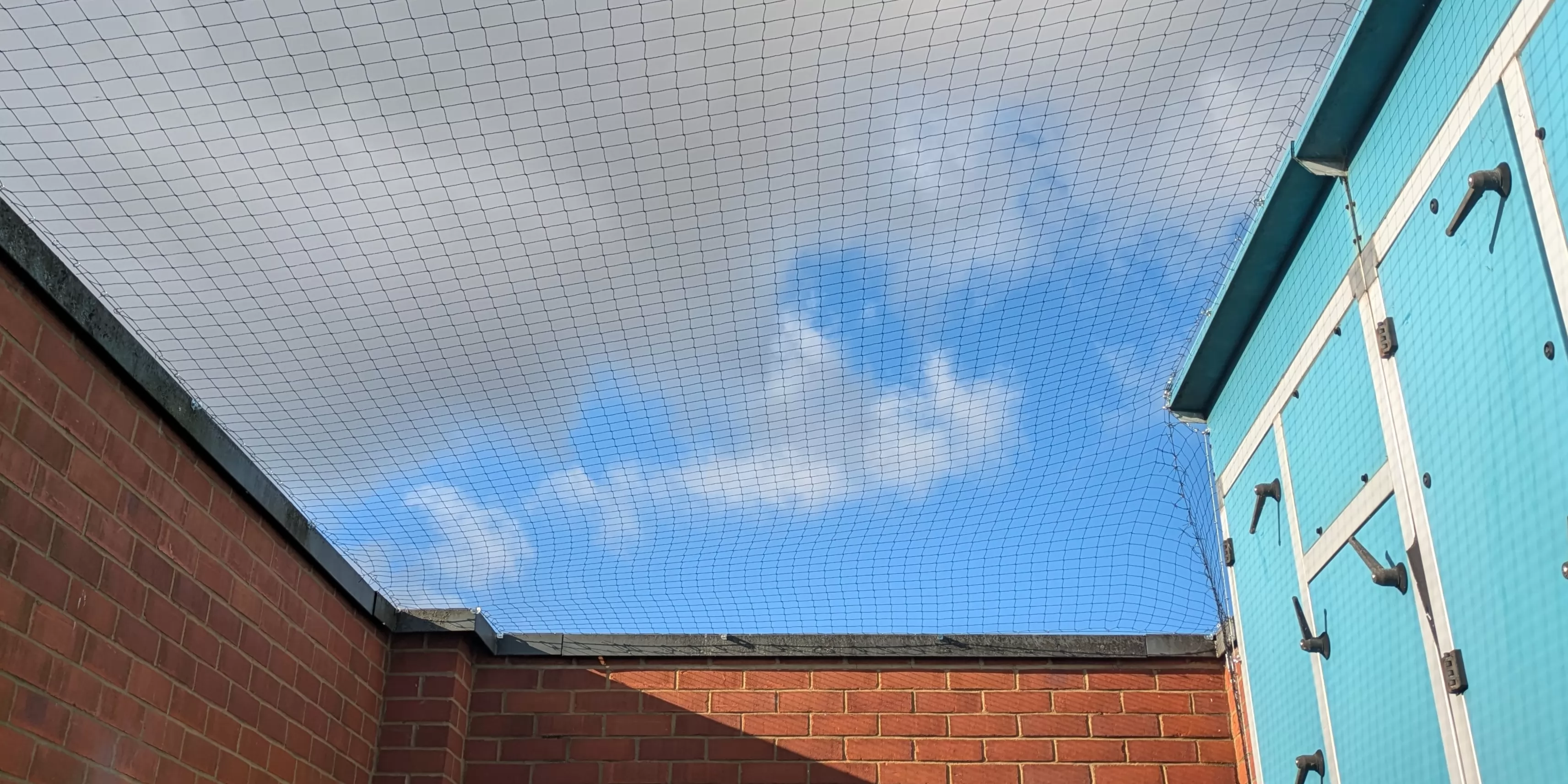 Pigeon Netting | Commercial Bird Netting Installation