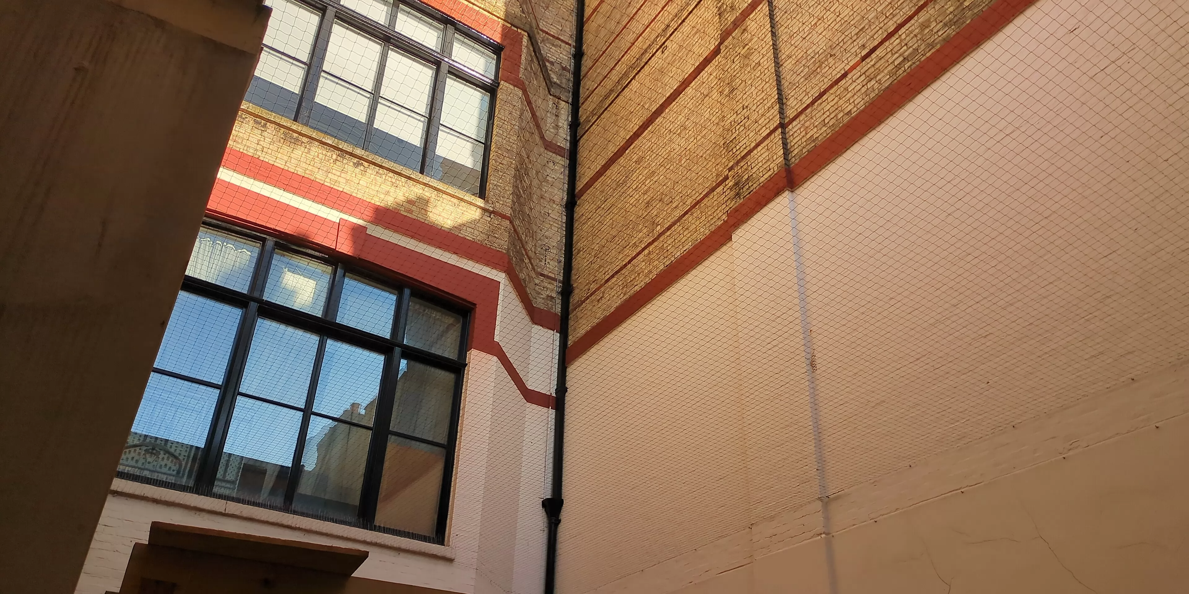 Pigeon Netting | Commercial Bird Netting Installation